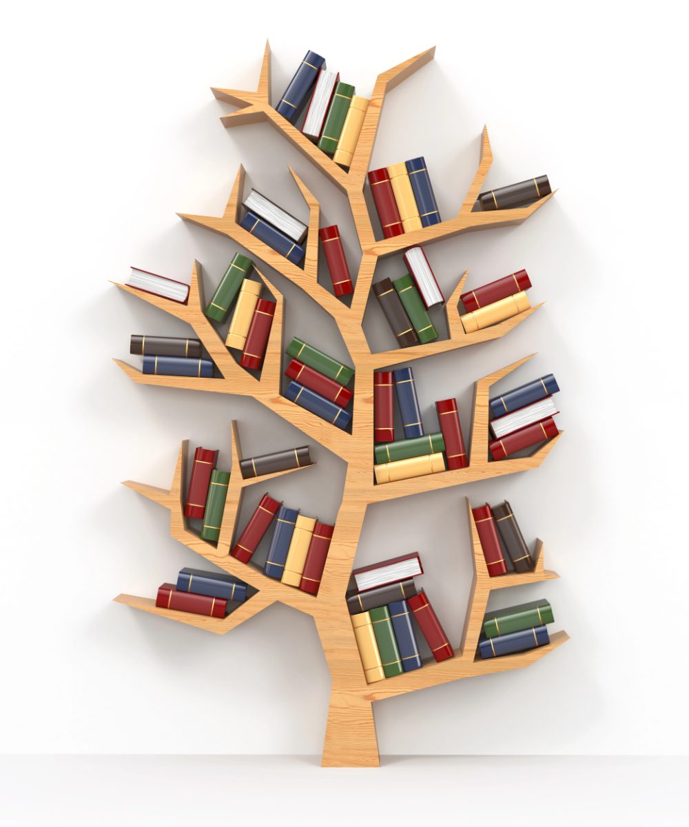 What is Etymology? The Story Behind Every Word We Teach