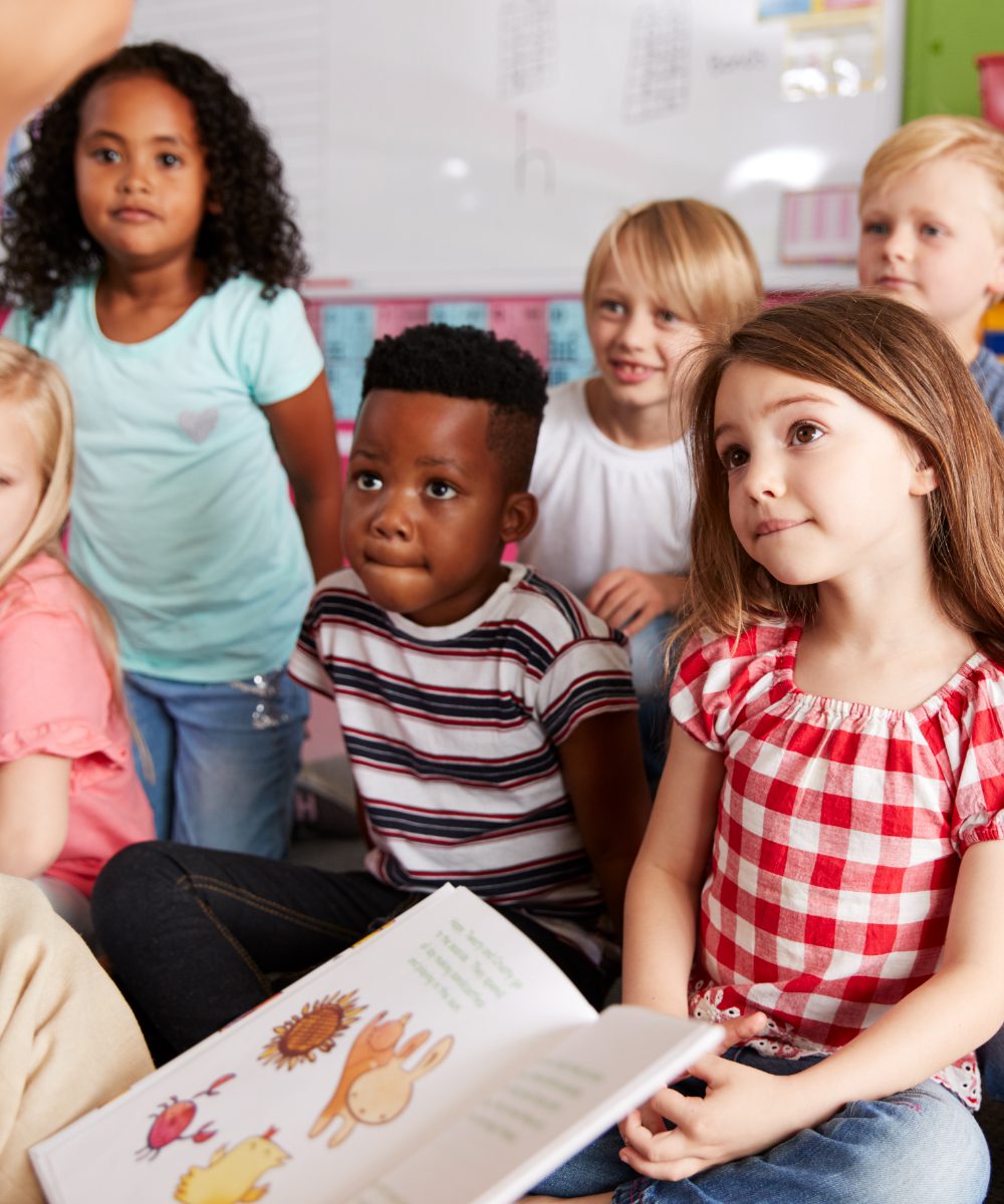 Beyond the Book: Essential Read Aloud Activities for Elementary ...