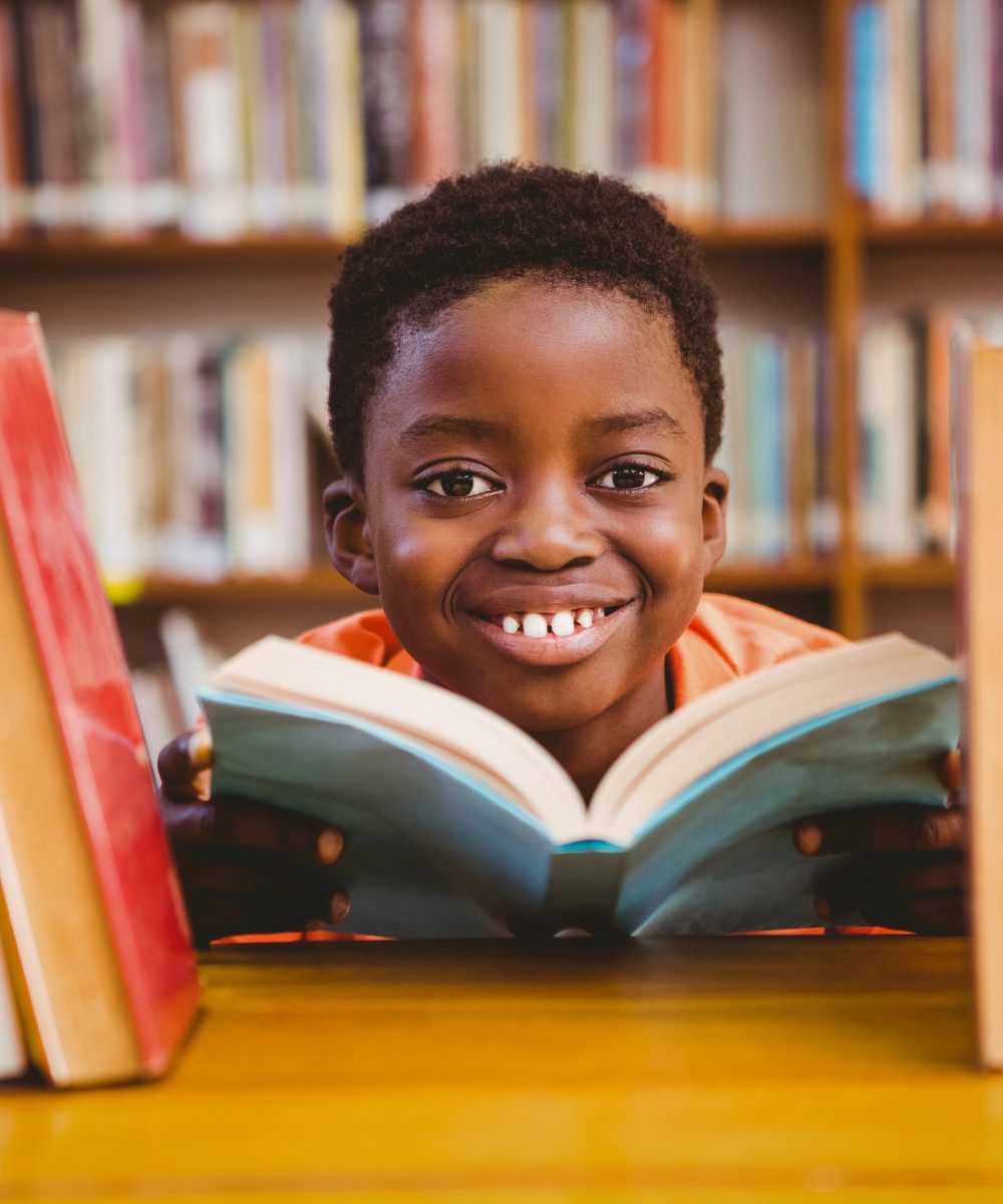 Fluency and Comprehension: Reading in Meaningful Phrases